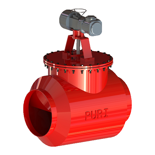 Globe (Straight Flow) Valve